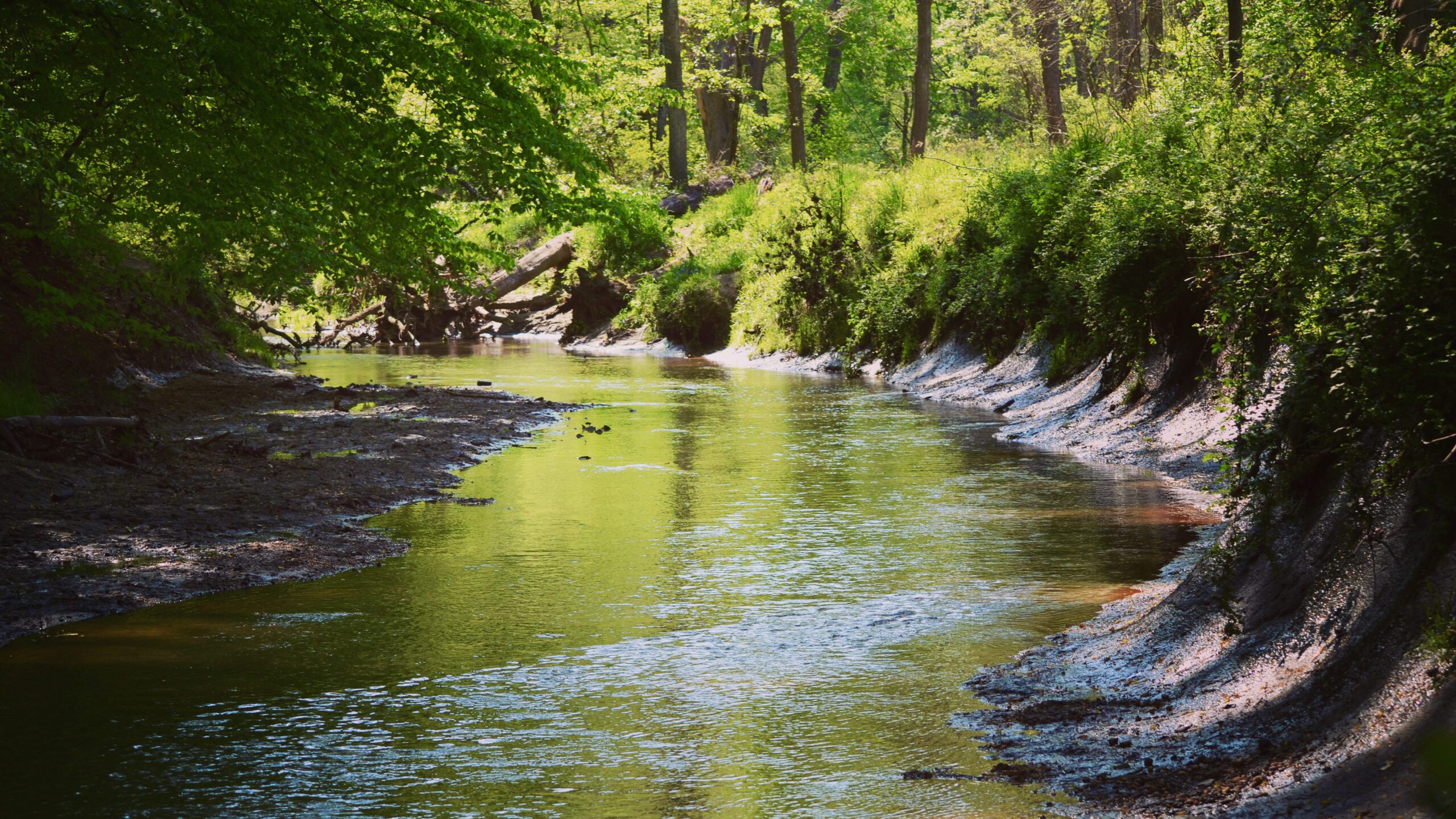 Big Brook Fossils - NJ - Live Life OutdoorZ